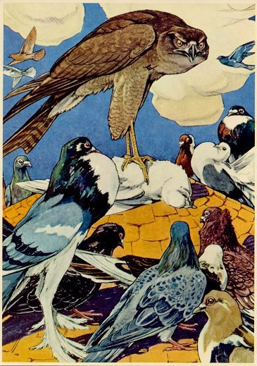 The Hawk And The Pigeons A Motivational Story In English the-hawk-and-the-pigeons-a-motivational-story-in-english
