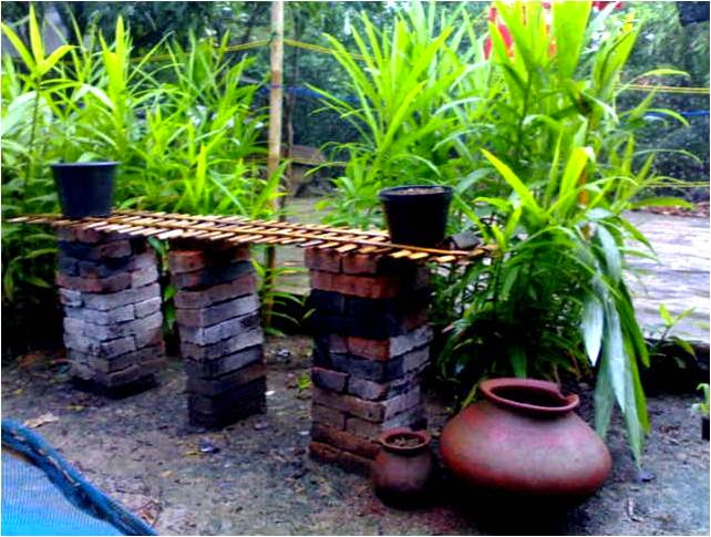 Mari Membangun Desa: Bangle, Sang Tanaman Ajaib Anti Bakteri dan Virus