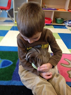 Discovery Kidzone Montessori Adventures: Practical Guide to Practical ...