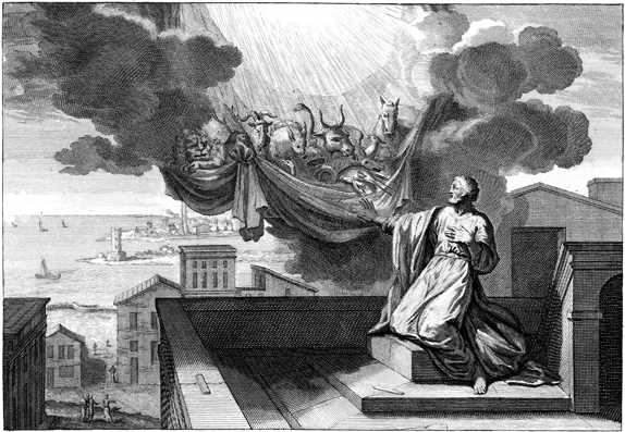 Foundations of My Faith: Peter’s Vision