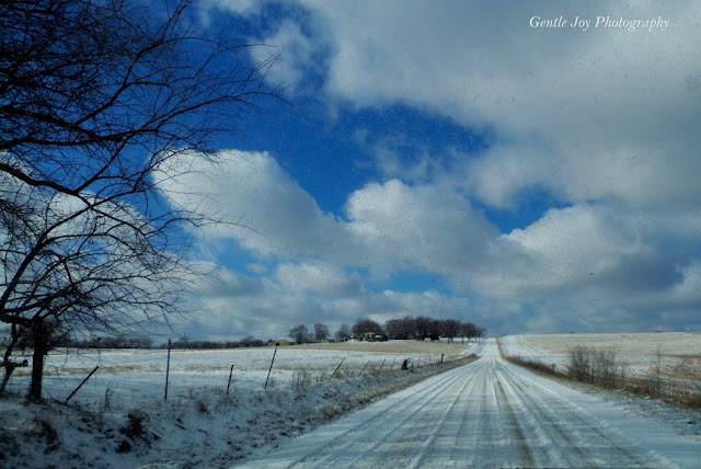 Gentle Joy Photography: The Last of Winter.... I Hope!!!