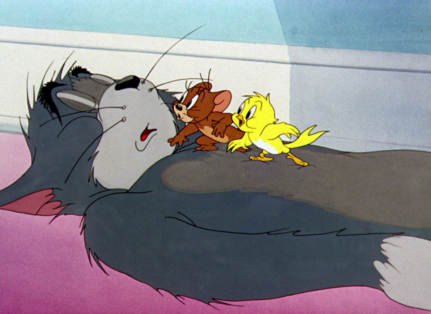 Tom & Jerry Pictures: "Kitty Foiled"