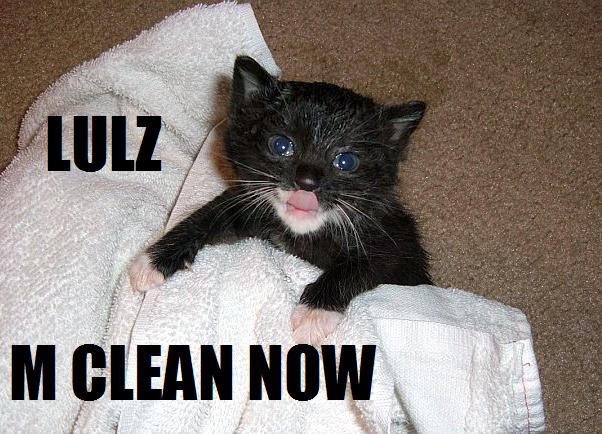 Lulz me clean now! | Funny Cat Pictures