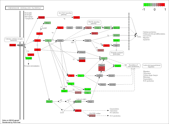 Tutorial Rna Seq Differential Expression And Pathway Analysis With