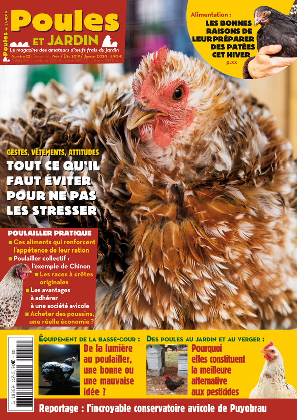 Poules et jardin