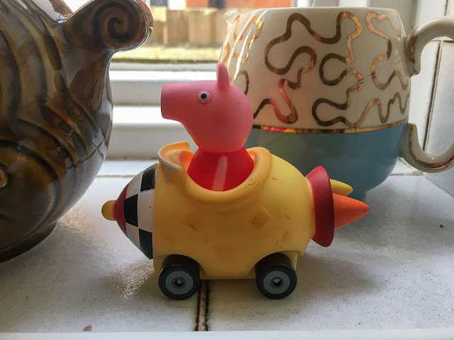 Shadows & Light: Foxglove Distribution Campaign