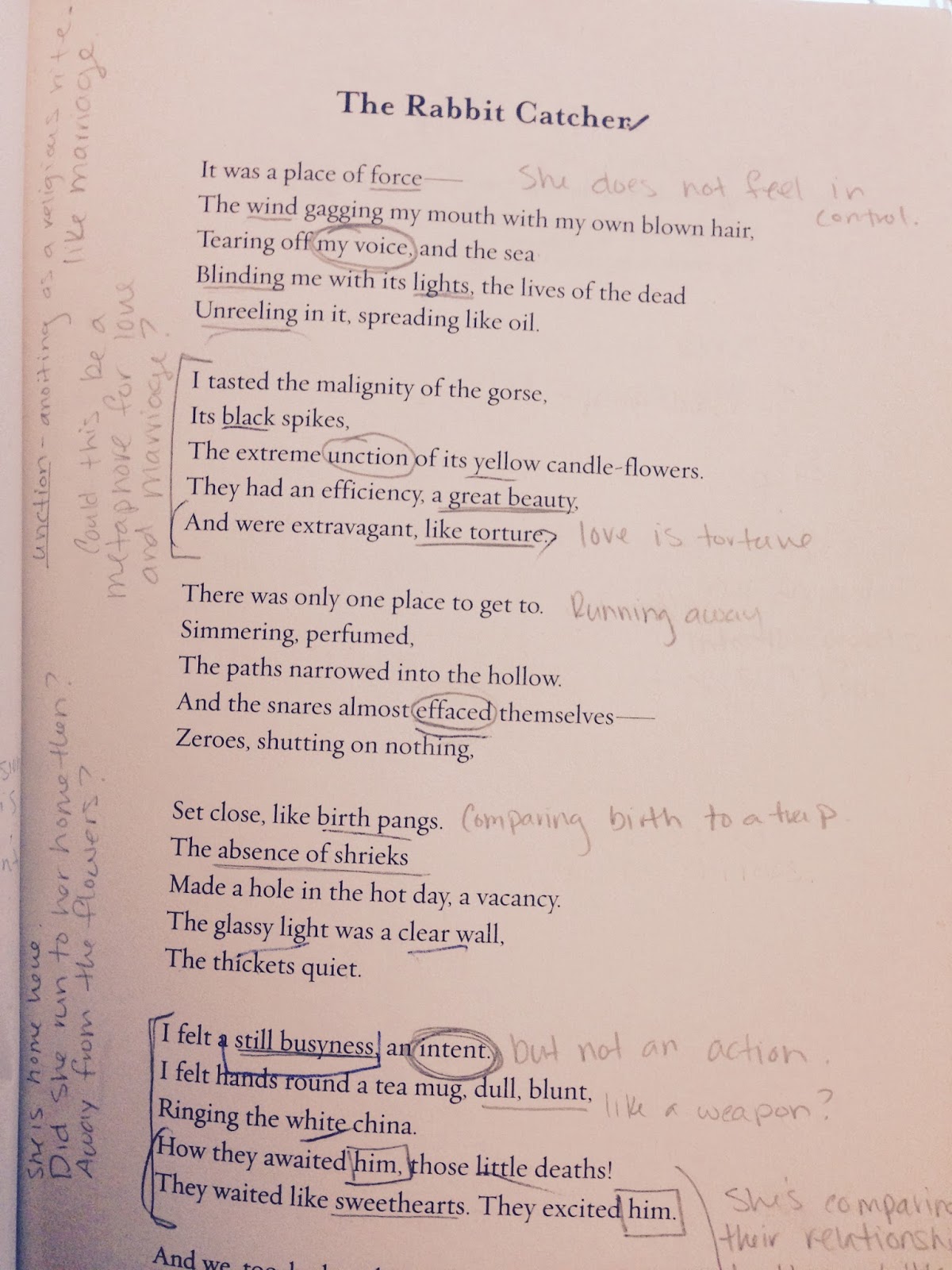 Project Poetry: The Rabbit Catcher