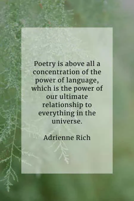 50 Poetry quotes that will inspire your mind and soul
