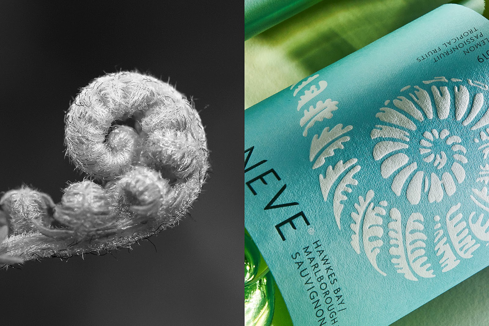 Neve Iconic New Zealand wines – Packaging Of The World