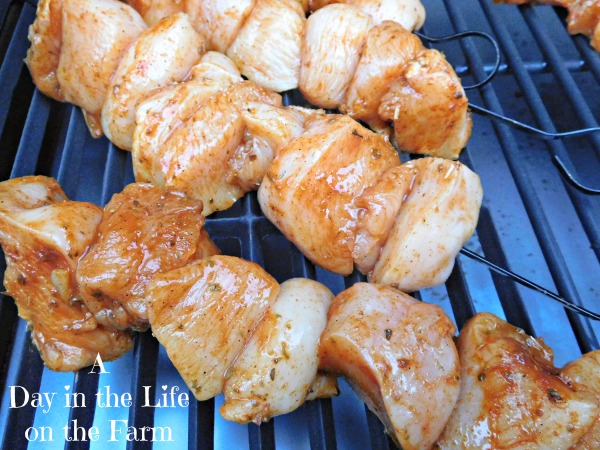 A Day in the Life on the Farm: Pinchos #EattheWorld