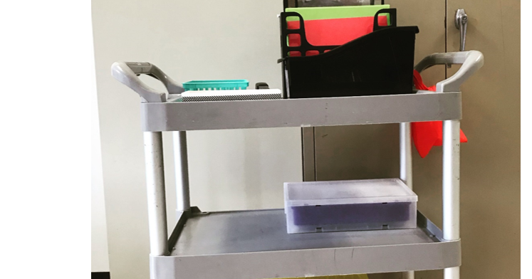 Math Dyal: 5 Things I Learned Teaching from a Cart