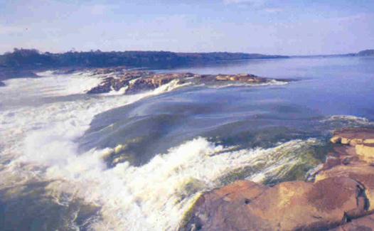 História e Cia.: O rio Madeira.