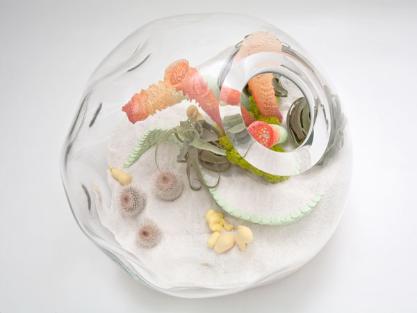 Homebuildlife: The art of display: object terrariums by Litill