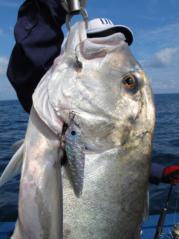 Tackle Source: GTs ARE BACK!