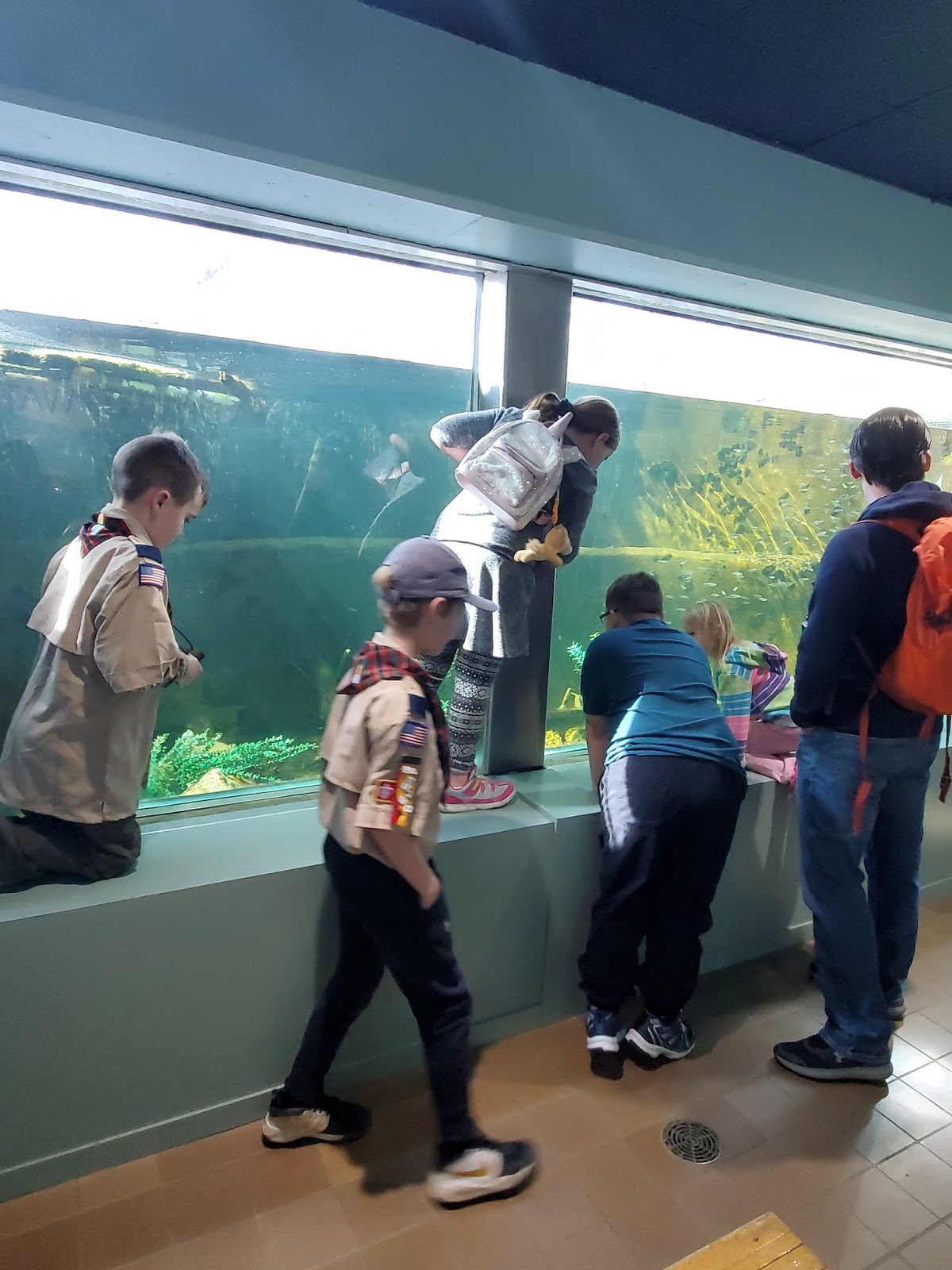 Play St. Louis: Powder Valley Nature Center, Kirkwood