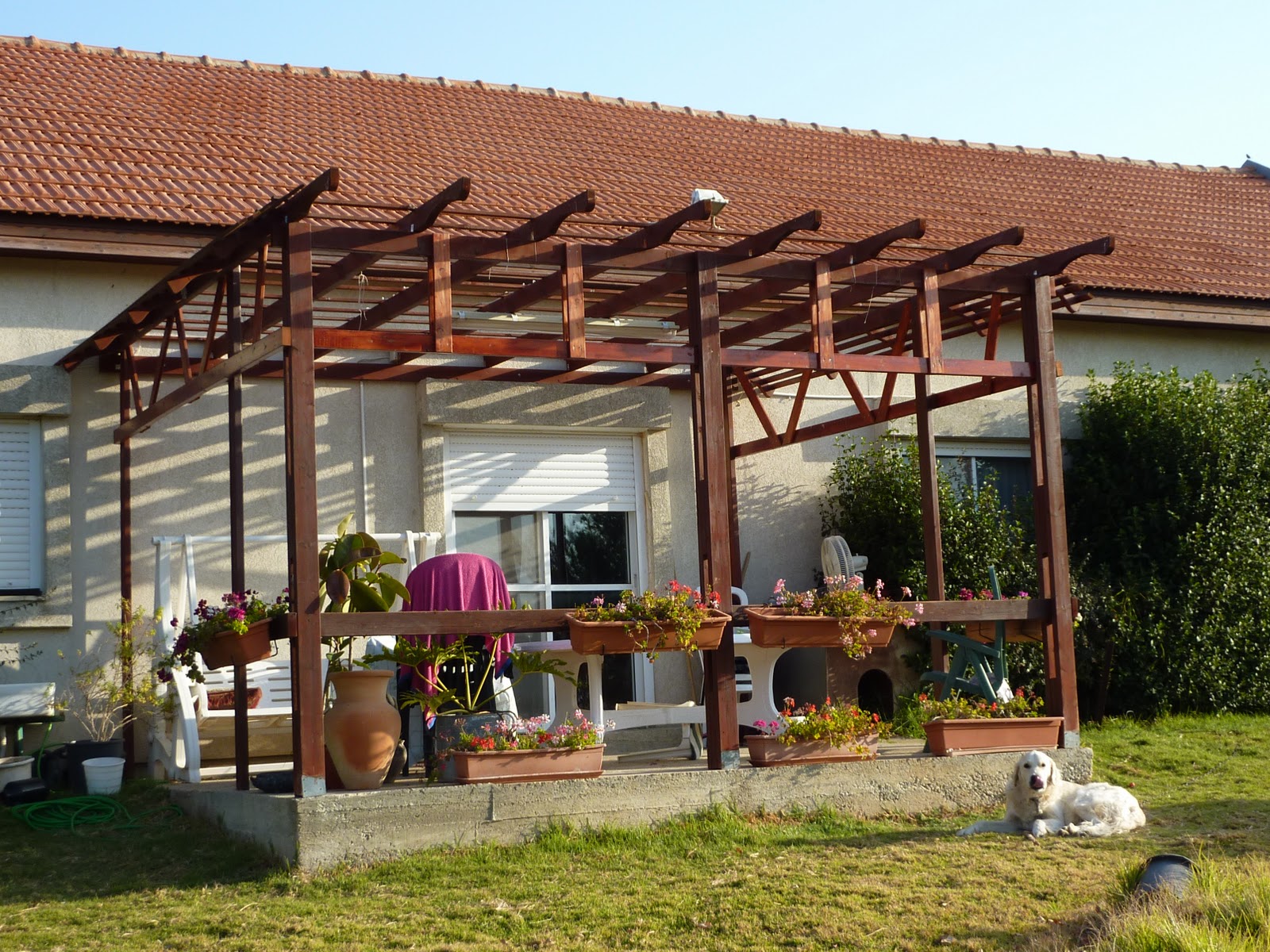 I Wish I Were a Photographer: 2011