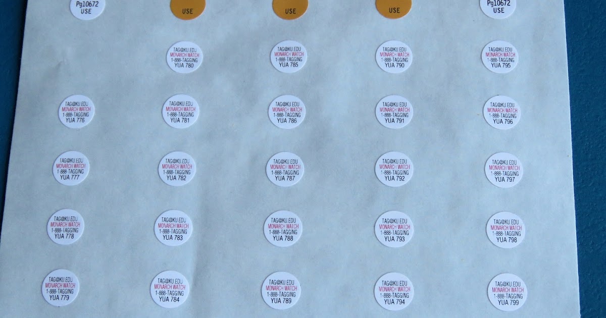 TAGGING MONARCH BUTTERFLIES