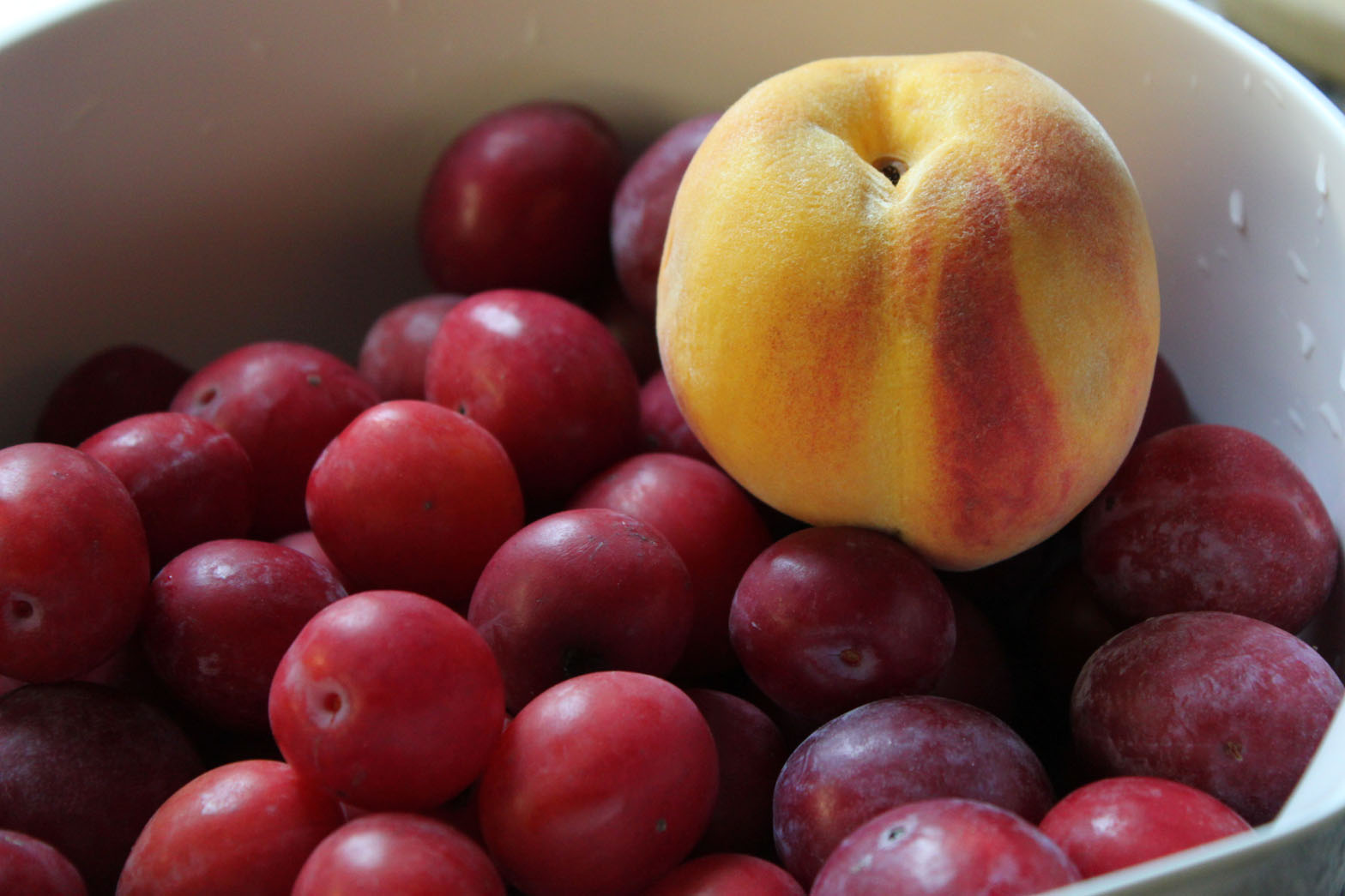 TrinKnitty: What Became of the Stone Fruit