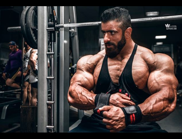 Beast of the Year - Number 1: Hadi Choopan, the Persian Wolf - World ...