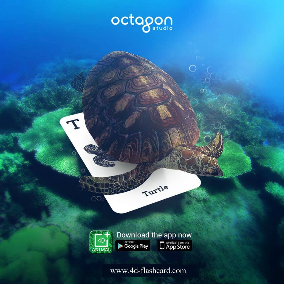 Animal 4D+ - PIKABOO BABY SHOP