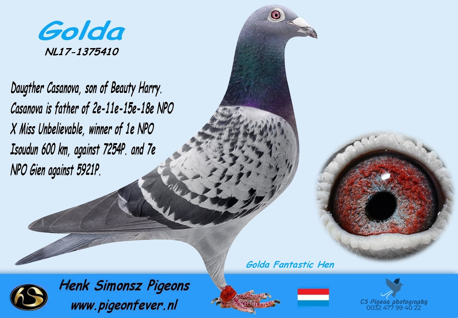 Pigeon Fever: Breeders