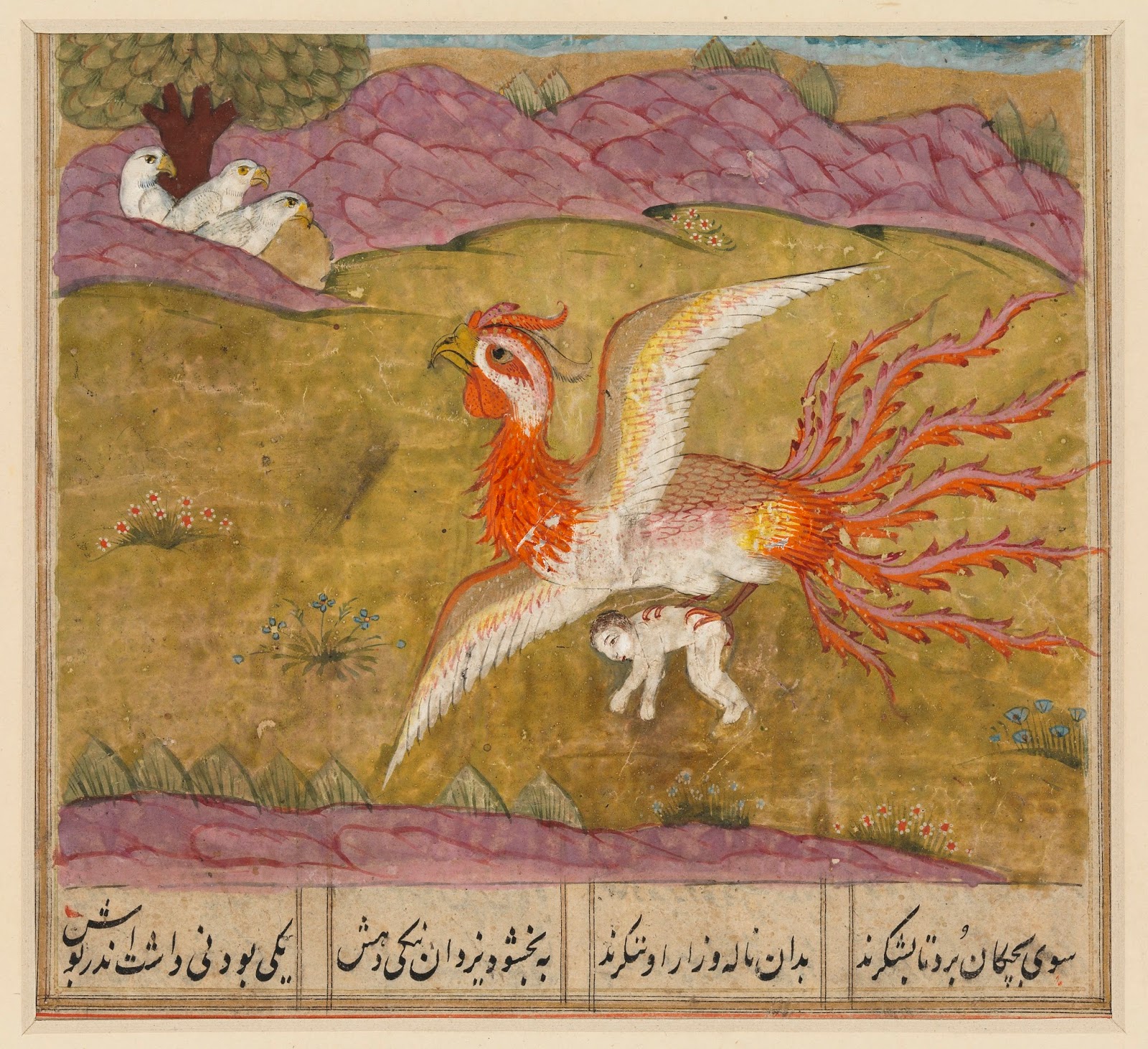 Arcanoteca: Menu Mitologia: SIMURGH, Ave Persa