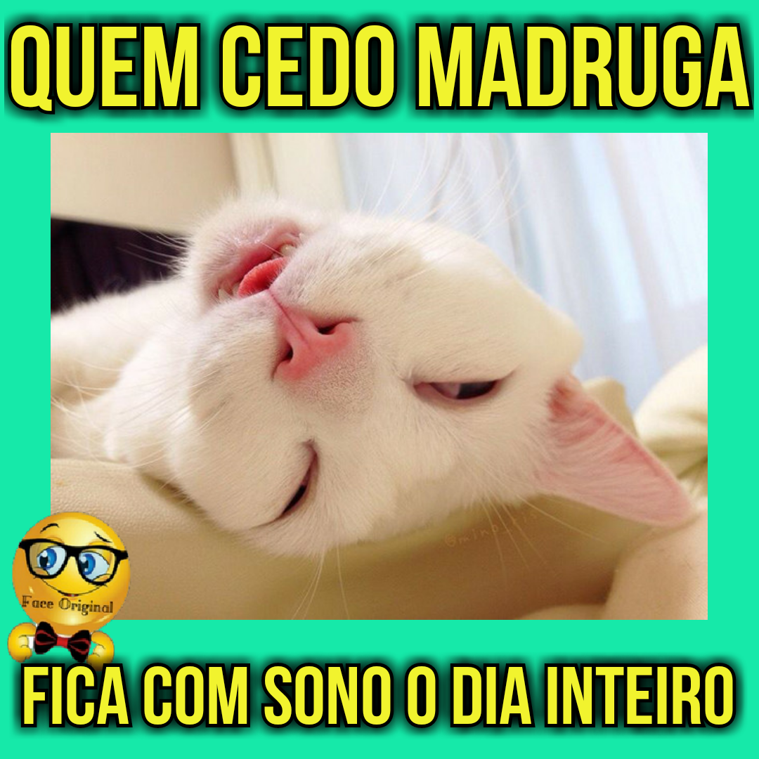 Face Originalw- Montagens com Imagens,Mensagens,Frases,Zueiras: Zueira