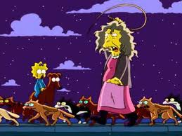 Diary Of A City Girl : Being a Crazy Cat/Dog Lady Ain't That Bad