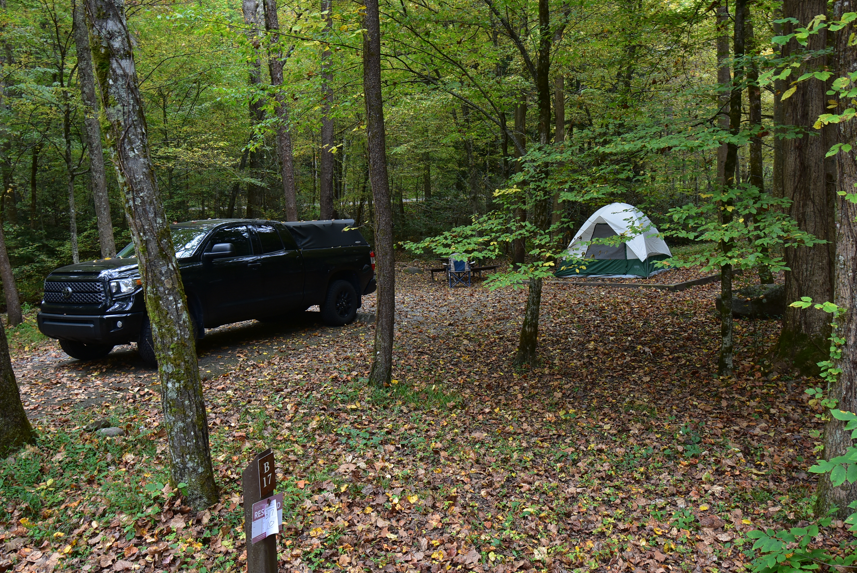 Chris Moore Hiking, Climbing, and Camping: GSMNP FALL 2020