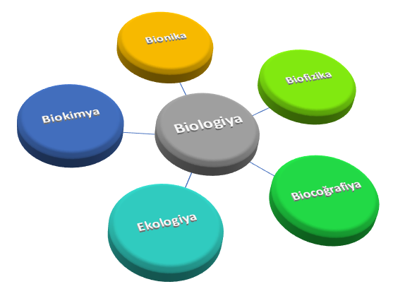 Canlılar aləmi: Biologiyanın qarşılıqlı əlaqədə olduğu elmlər...