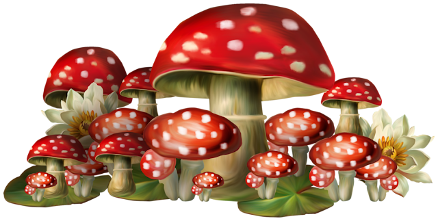 ® Imágenes y Gifs Animados ®: HONGOS