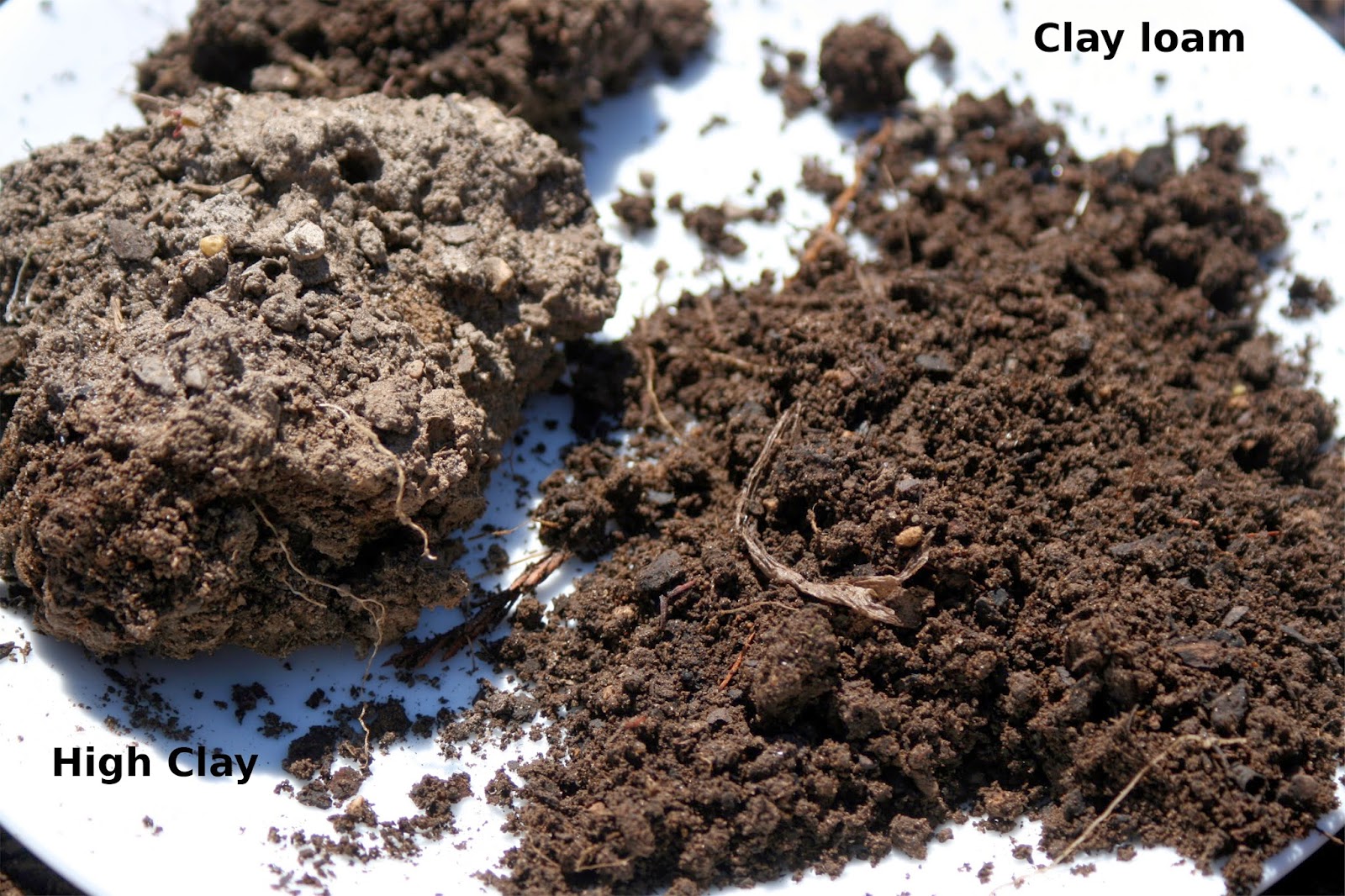 DanO's Garden: Southwestern Missouri garden soil: The real story!