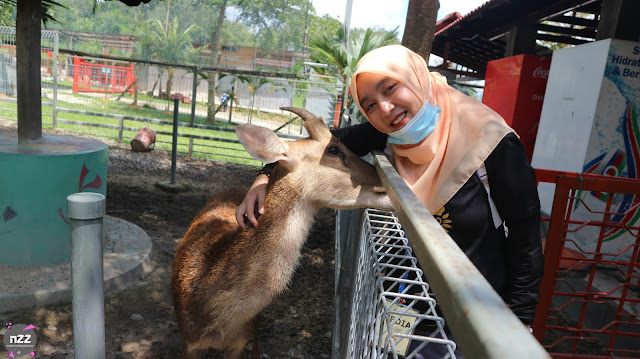 Mini Zoo: Rabbit Fun Land, Lenggeng, Negeri Sembilan