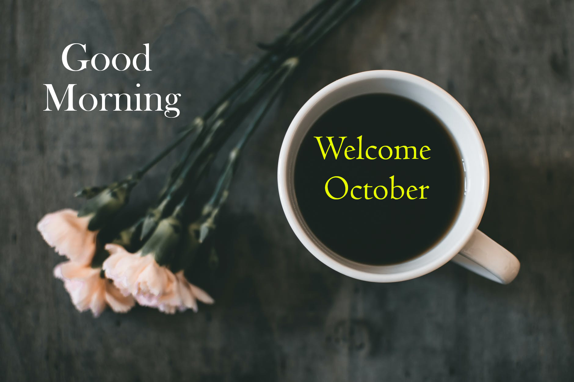 Top 10 Good Morning Welcome October Greetings Images, Pictures, photos ...
