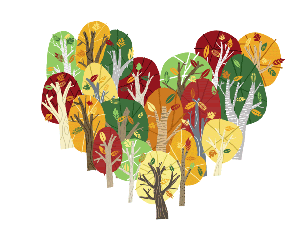 85.สวนเกษตรทฤษฎีใหม่ - GotoKnow