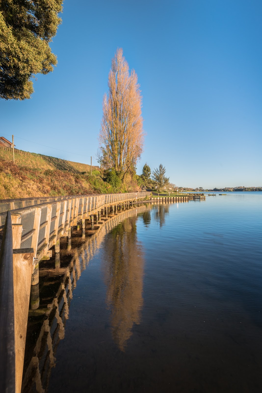 Down at the Lake {Lake Karapiro, Waikato landscape photography} | the ...