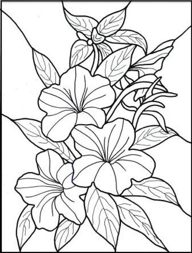 Realistic Flower Coloring Pages - Coloring Pages