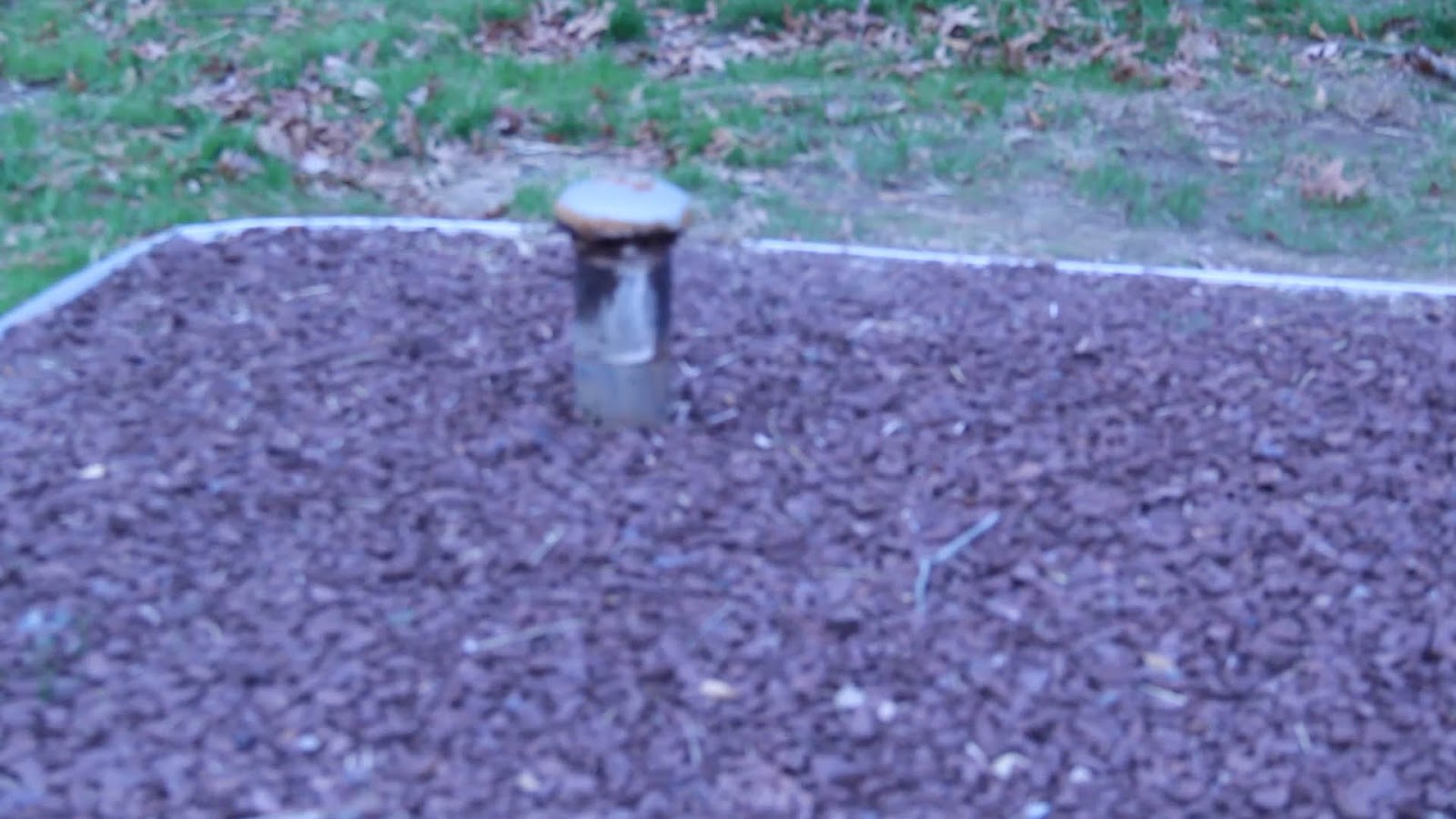 IMM 110-01 Fall 2018 (Matthew)