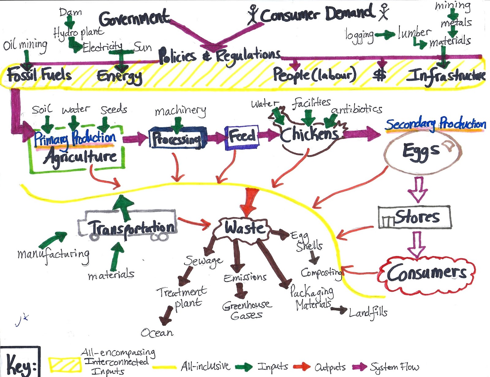 Ariel's Sustainability Portfolio: Food System Concept Map: The Egg