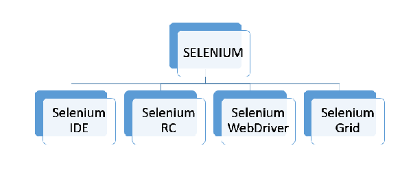 What are the Components of Selenium?