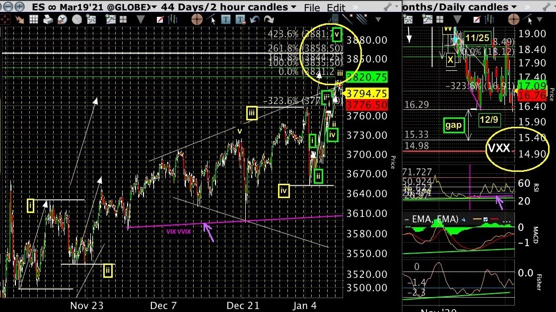 VectorSpike: ES 3858-3881 Targets In Focus