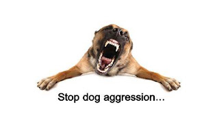 How To Train Your Dog - Best Dog Obedience Training: How You Can Easily ...