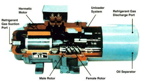 FRIOCLIMATIZADO: CUTTING VIEW OF A COMPRESSOR SCREW