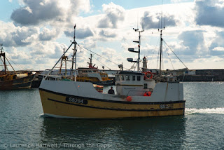 Through the Gaps! - Newlyn Fishing News: Newlyn, home to creative minds ...