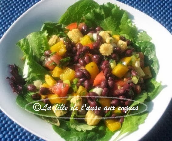 La fille de l'anse aux coques: SALADE DE HARICOTS ROUGES ET DE MAÏS ...