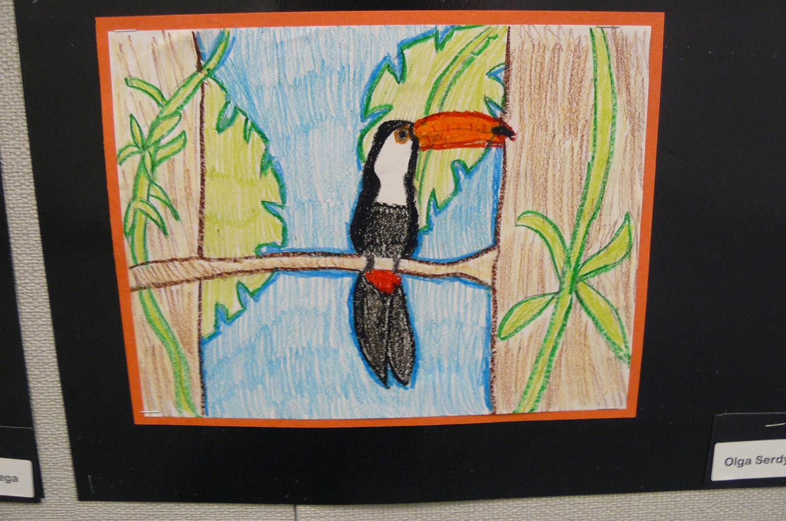 Learning in Room 206: Toucan Directed Drawings