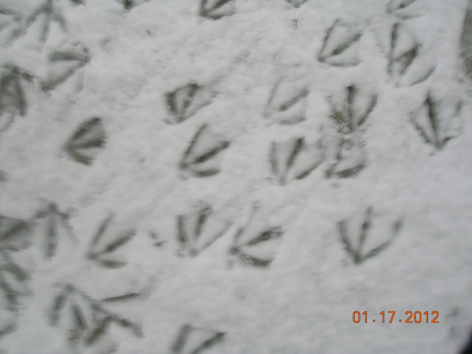 Behind the Stone Door