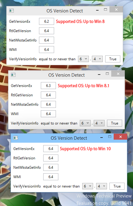 Windows 10 TPのバージョン判定