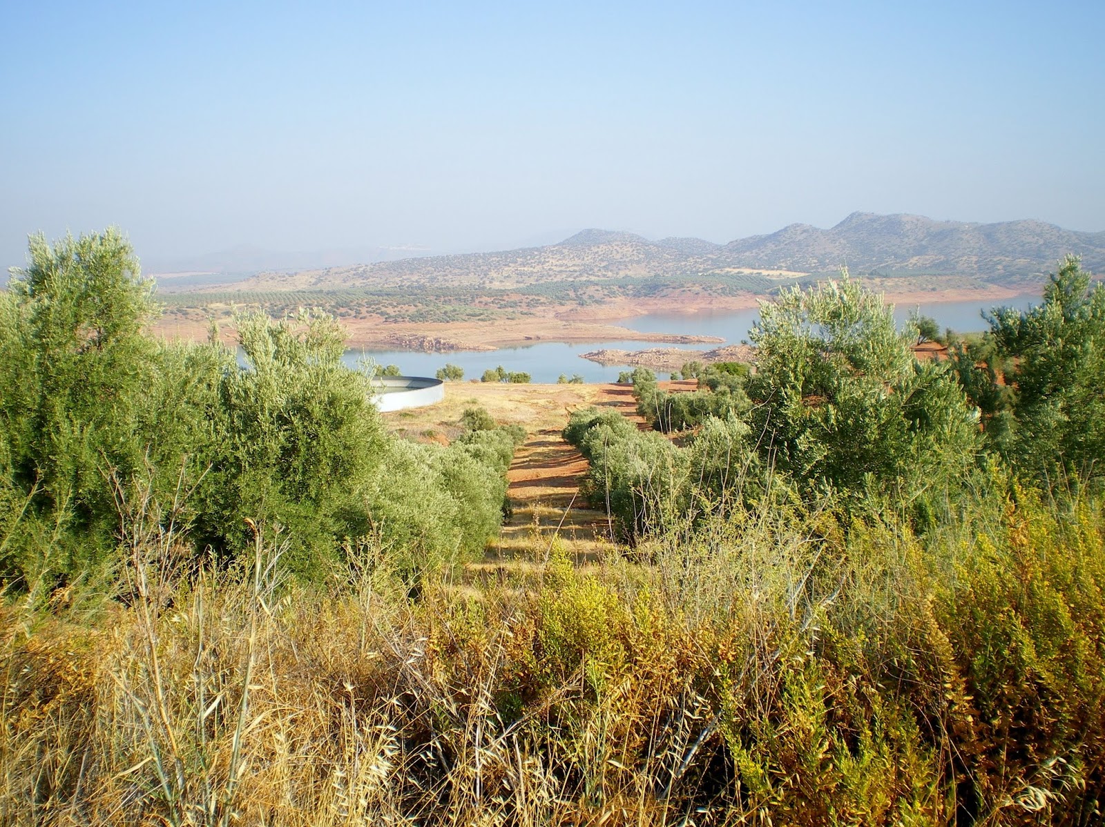 Club de Senderismo Los Escuderos de Rus (Jaen): HIPOGEOS VISIGÓTICOS DE RUS