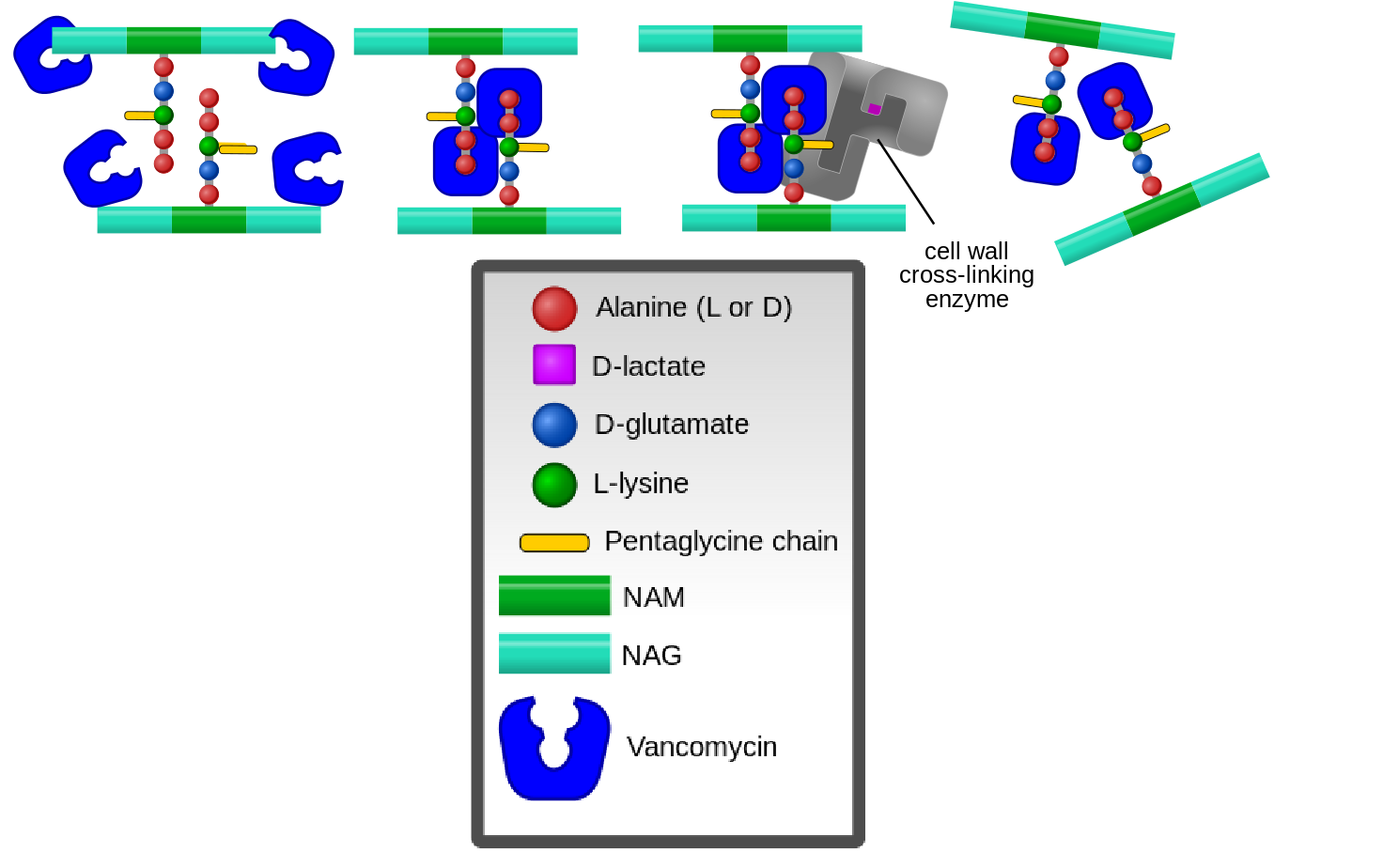 Internal Medicine Pharmacotherapy: "How it works" series: Vancomycin
